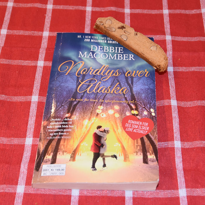 Macomber, Debbie (2020) «Nordlys over Alaska», Cappelen Damm – Heidis boble