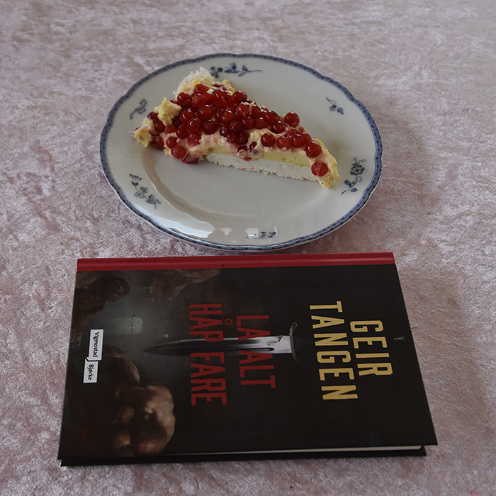 Tangen, Geir (2022) «La alt håp fare», Vigmostad og Bjørke – Heidis boble